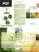Understanding the Zadoks Growth Scale | PDF | Plant Morphology | Plant ...