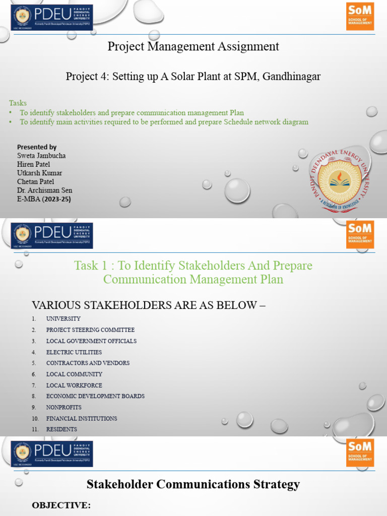 Project Management Assignment | PDF | Electrical Grid | Project Management