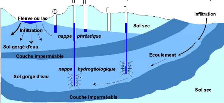 Nappe Libre - Captive | PDF