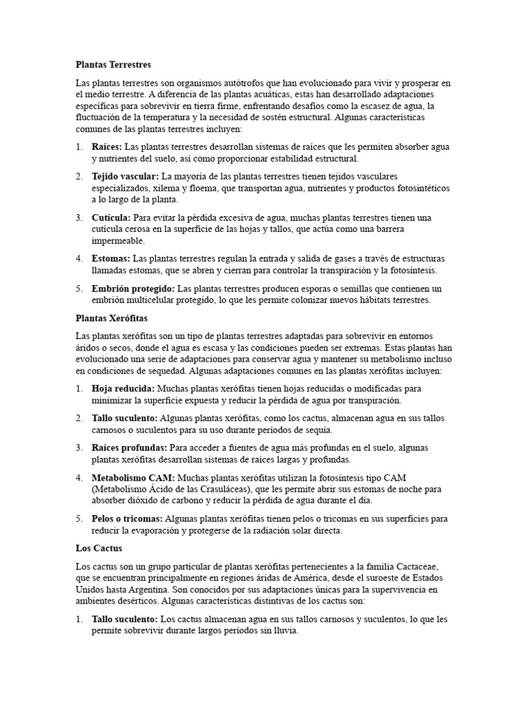 Plantas Terrestre v2 | PDF | Plantas | Hoja