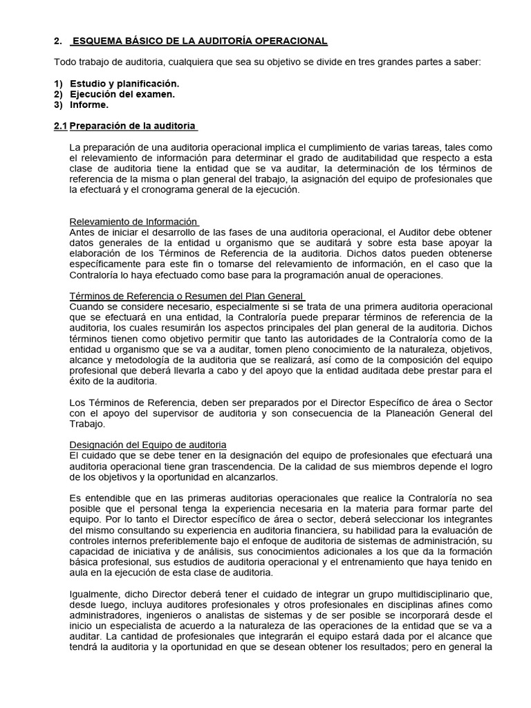 Esquema Básico de Auditoría Operativa | PDF | Auditoría | Planificación