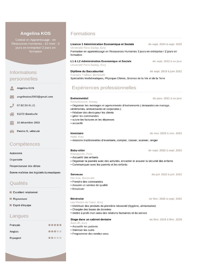 CV Angelina KOS | PDF