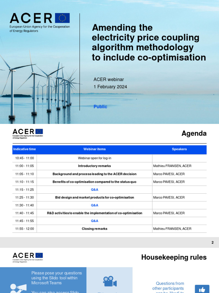 ACER Algorithm Methodology | Download Free PDF | Market (Economics) | Auction