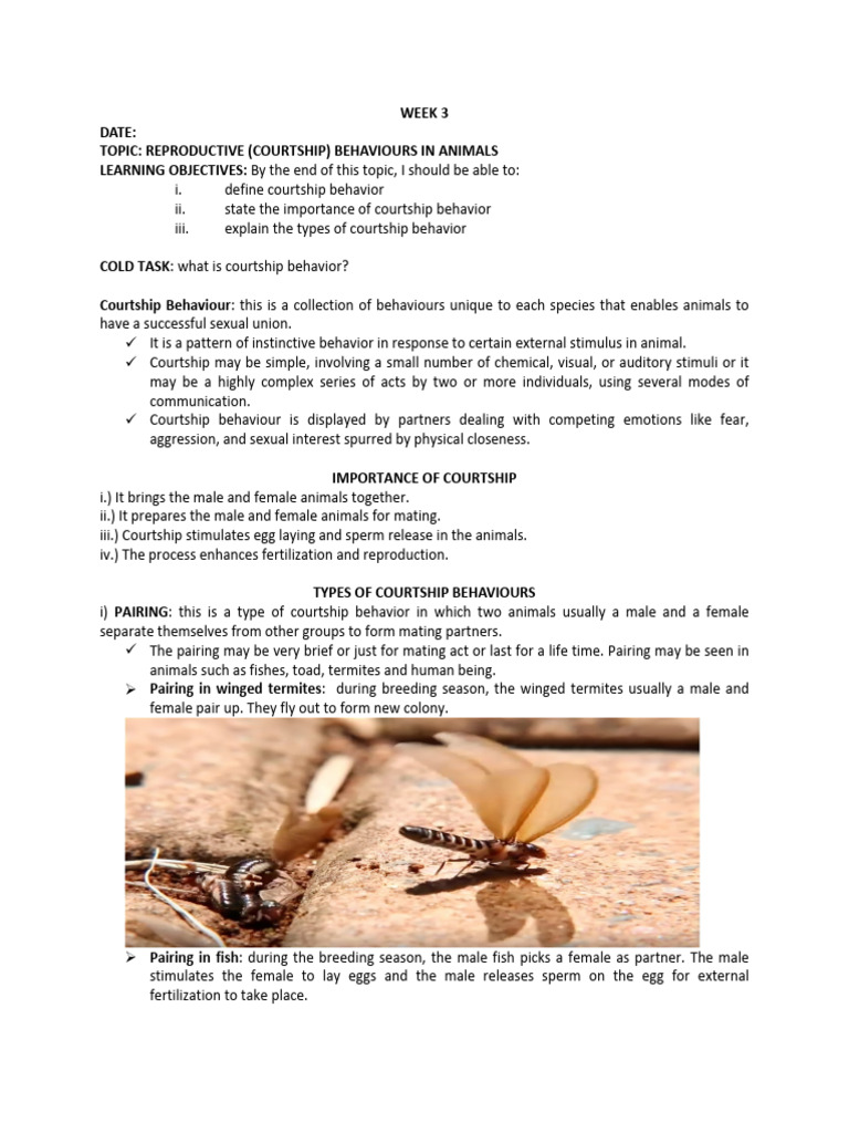 Courtship Behaviors in Animals Explained | PDF | Male | Behavior