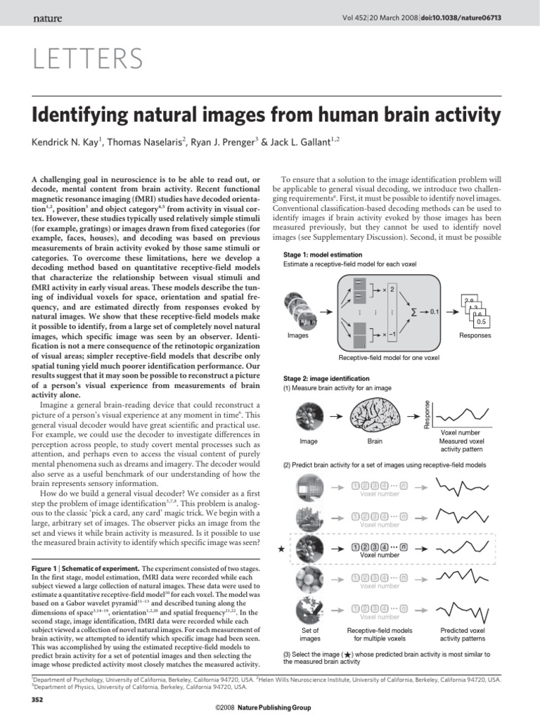 Nature 06713 | PDF | Functional Magnetic Resonance Imaging | Visual Cortex