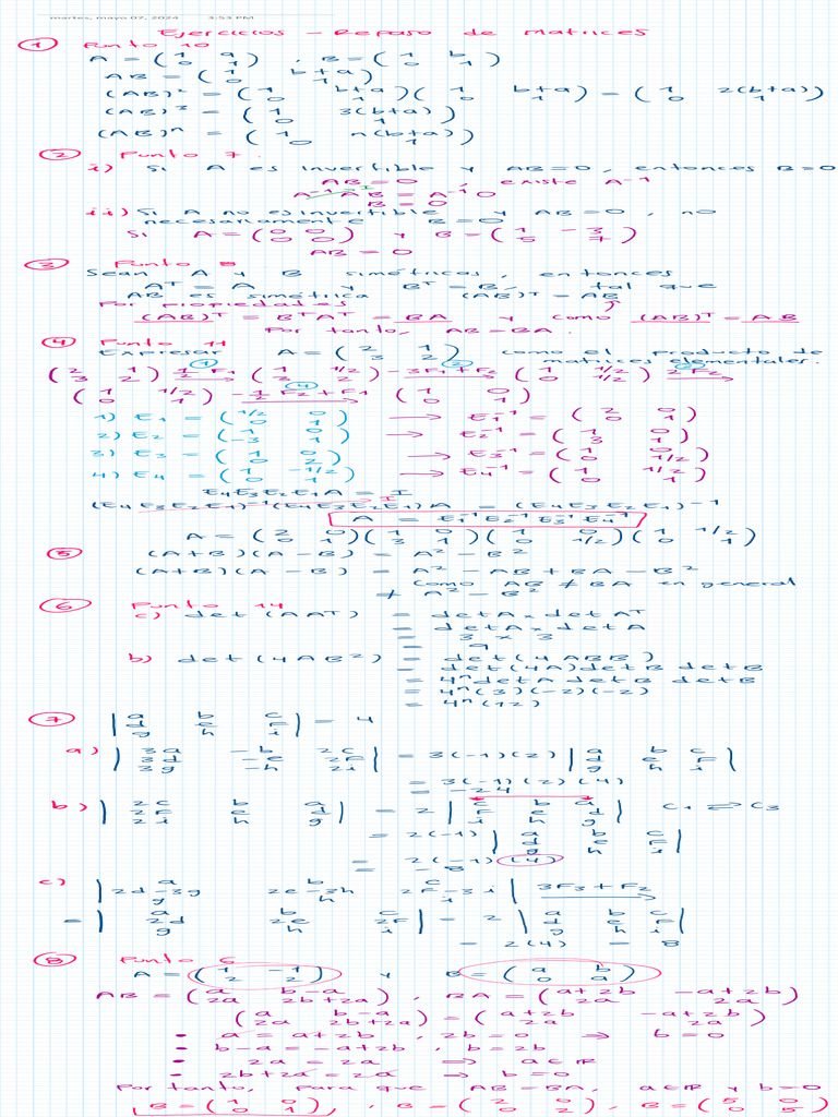 Álgebra I - Repaso Matrices | PDF