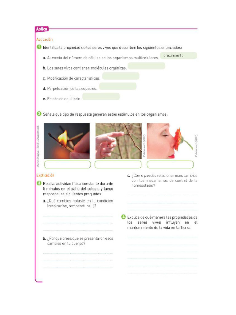 ACTIVIDAD 1 Libro 8vo | PDF