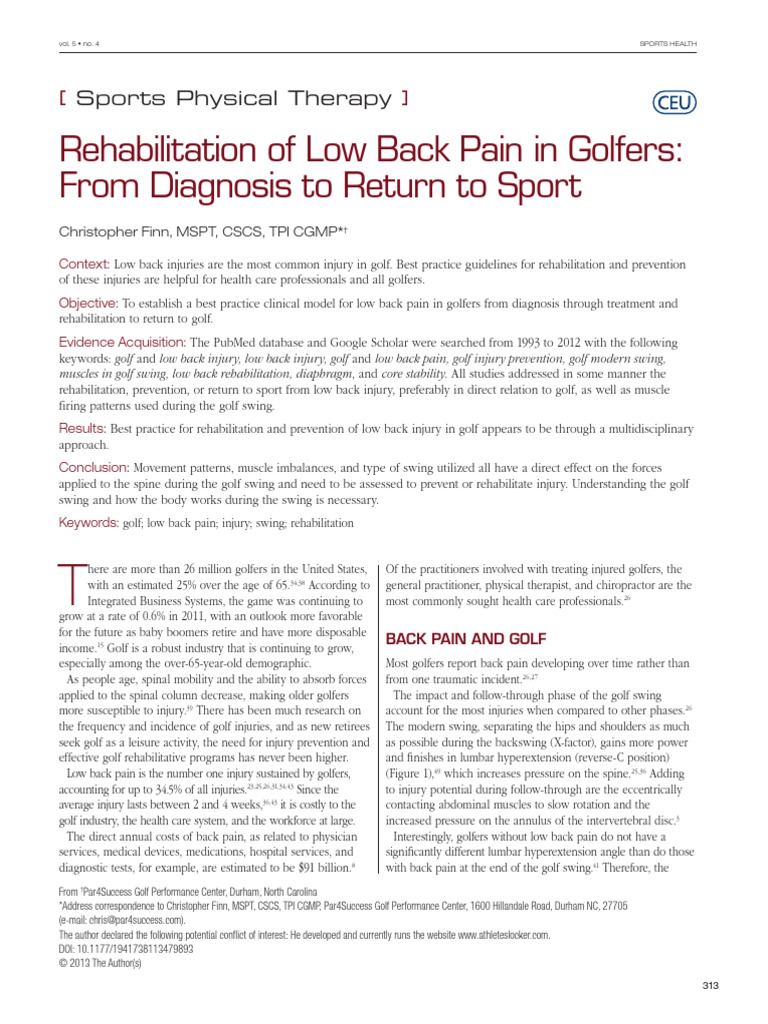 Rehab LBP in Golfers | PDF | Physical Therapy | Low Back Pain