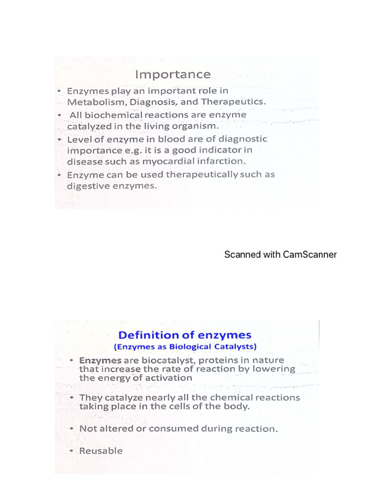 Enzymes 1 | PDF