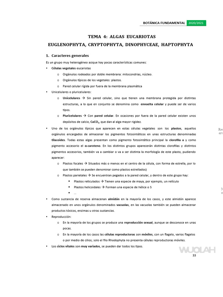 Tema 4 | PDF | Algas | Plantas