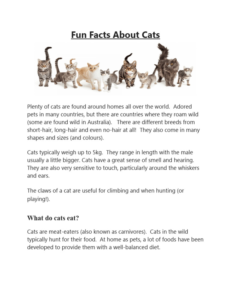 Fun Facts About Cats | PDF | Cats | Mammals