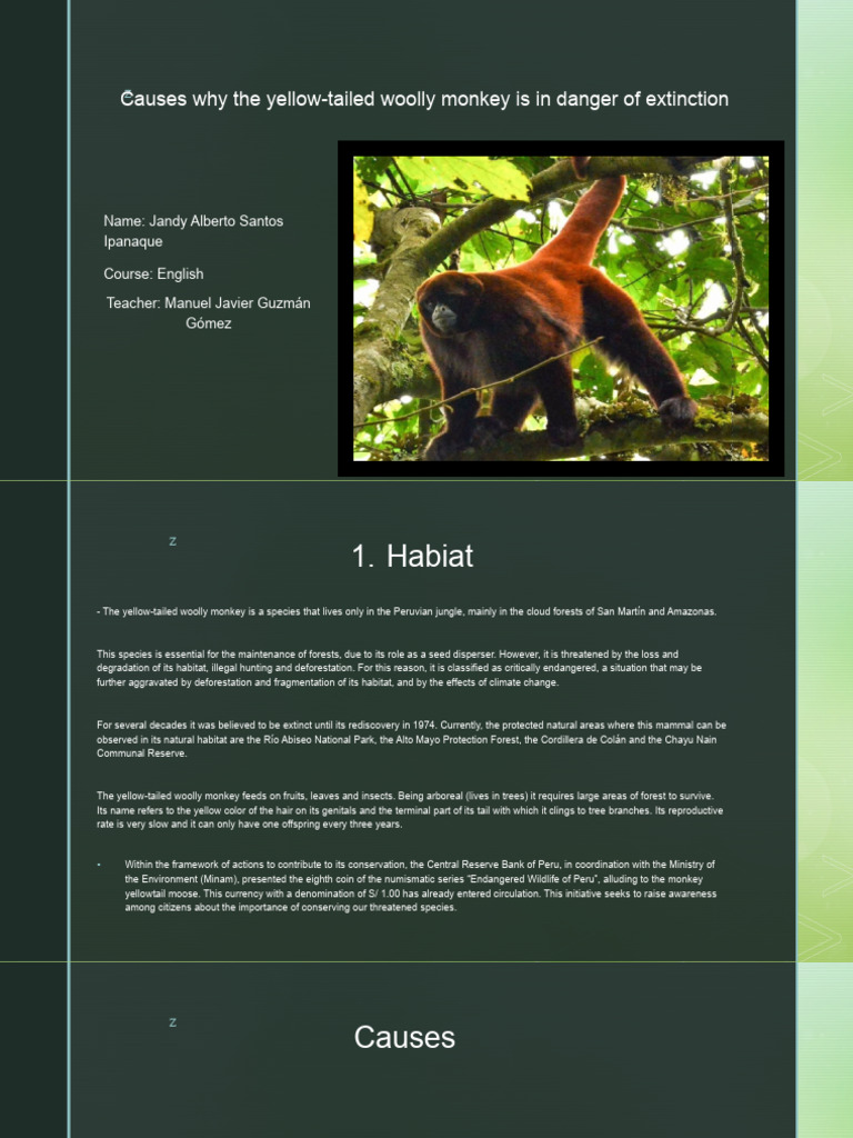 Inglés, Jandy Entregable 1 | PDF | Endangered Species | Environmental Conservation