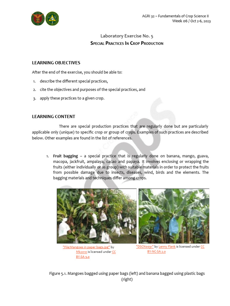 Exercise 5 Learning Module - 1st Semester 2023-2024.docx-1 | PDF | Banana | Botany