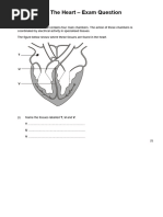 AQA Circulatory System Past Paper Questions | PDF | Heart | Blood
