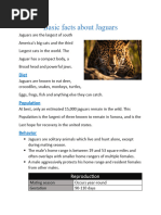 Jaguar Factfile: Key Information | PDF | Jaguar | Zoology