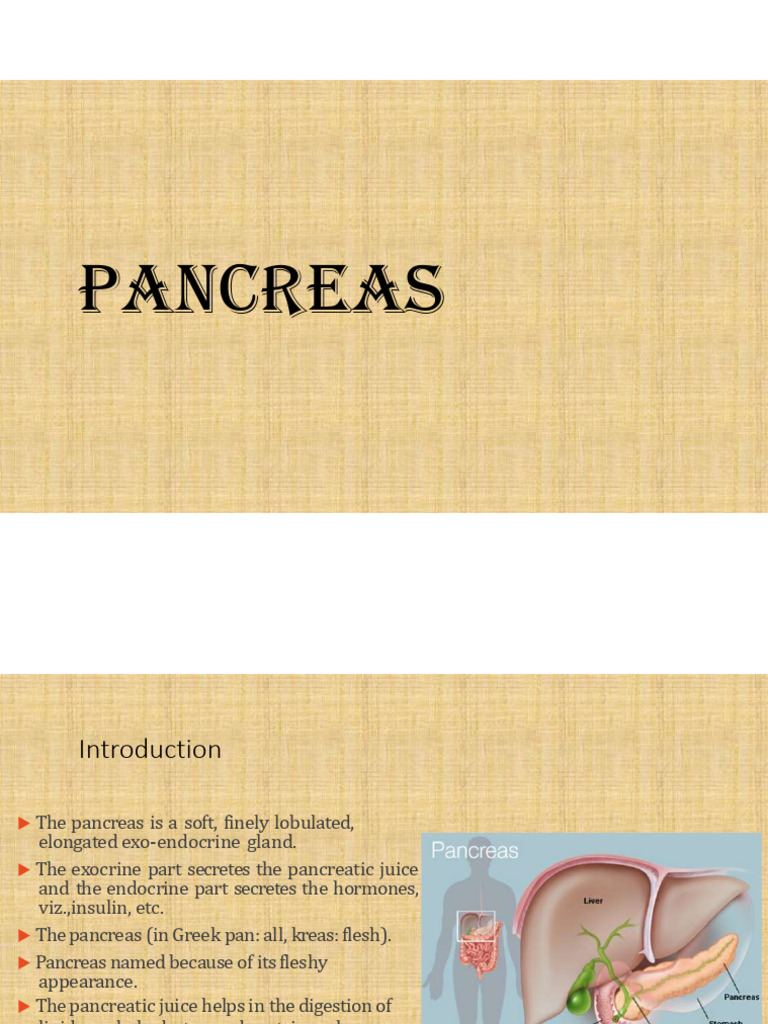 Pancrea | PDF | Pancreas | Anatomy
