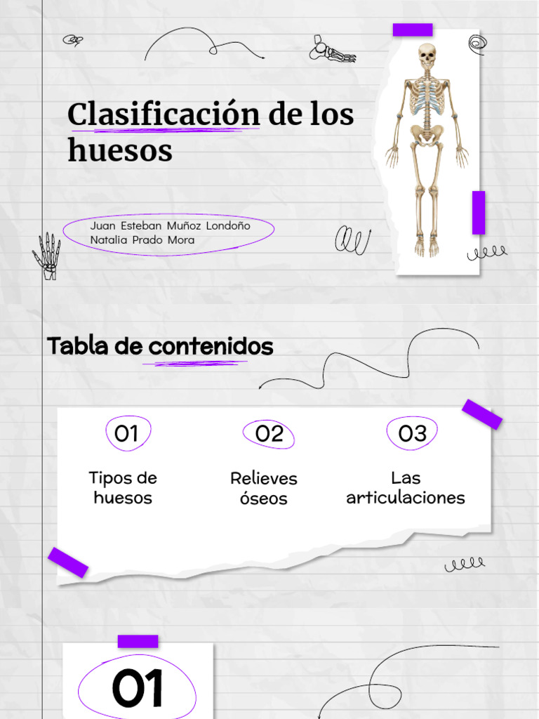 Clasificación de Los Huesos | PDF | Articulación | Sistema musculoesquelético