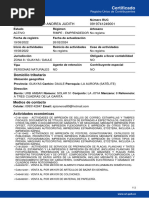 Plantilla Icap Version Chilena v2 1 | PDF