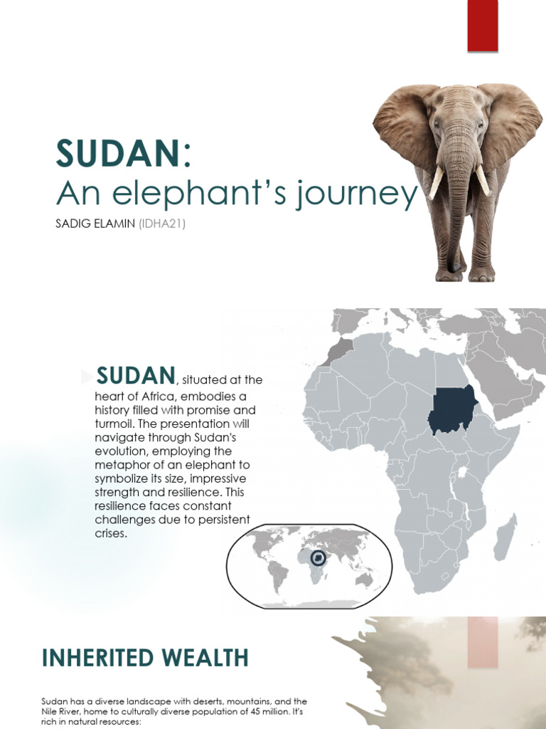 Sudan Case Study | Download Free PDF | Omar Al Bashir | Sudan