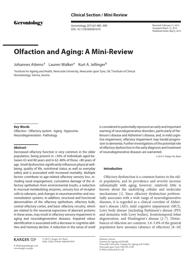 Olfaction and Aging A Mini Review-3 | PDF | Olfactory System | Cerebral Cortex
