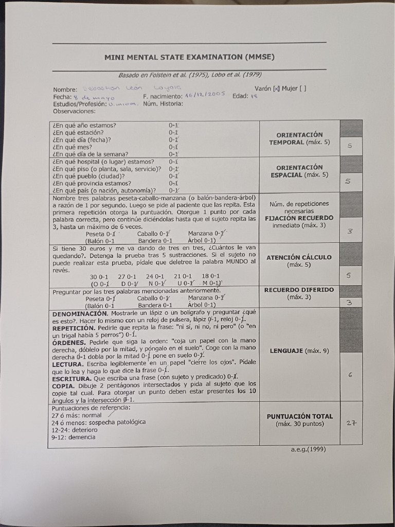 Mini Mental State | PDF