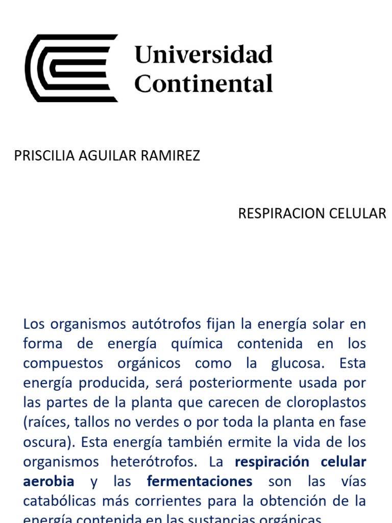 Continental Clase 7 - Respiracion Celular 2020I - Priscilia Aguilar ...