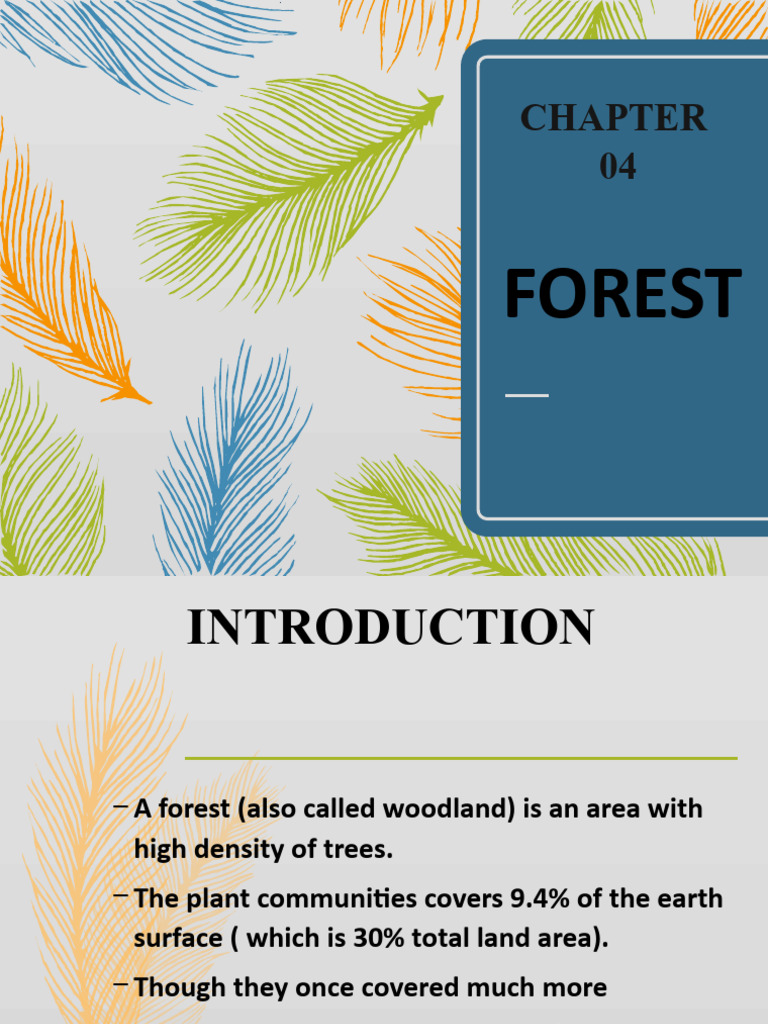 01 Forest | PDF | Deforestation | Forests
