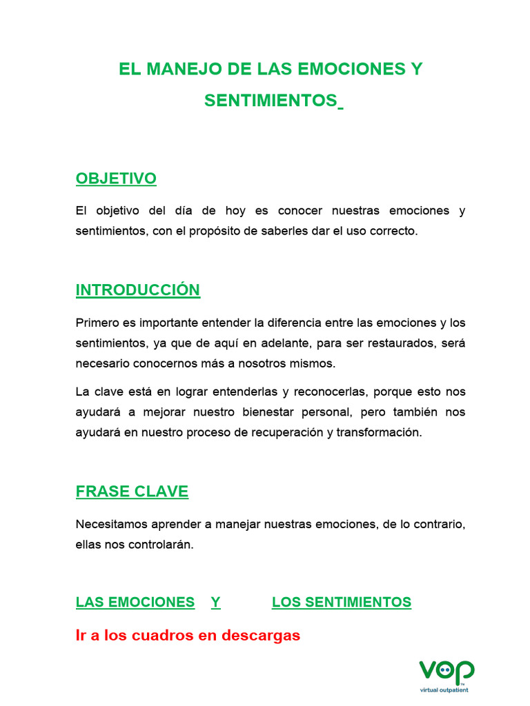 El Manejo de Las Emociones y Sentimientos | PDF | Las emociones | Celos