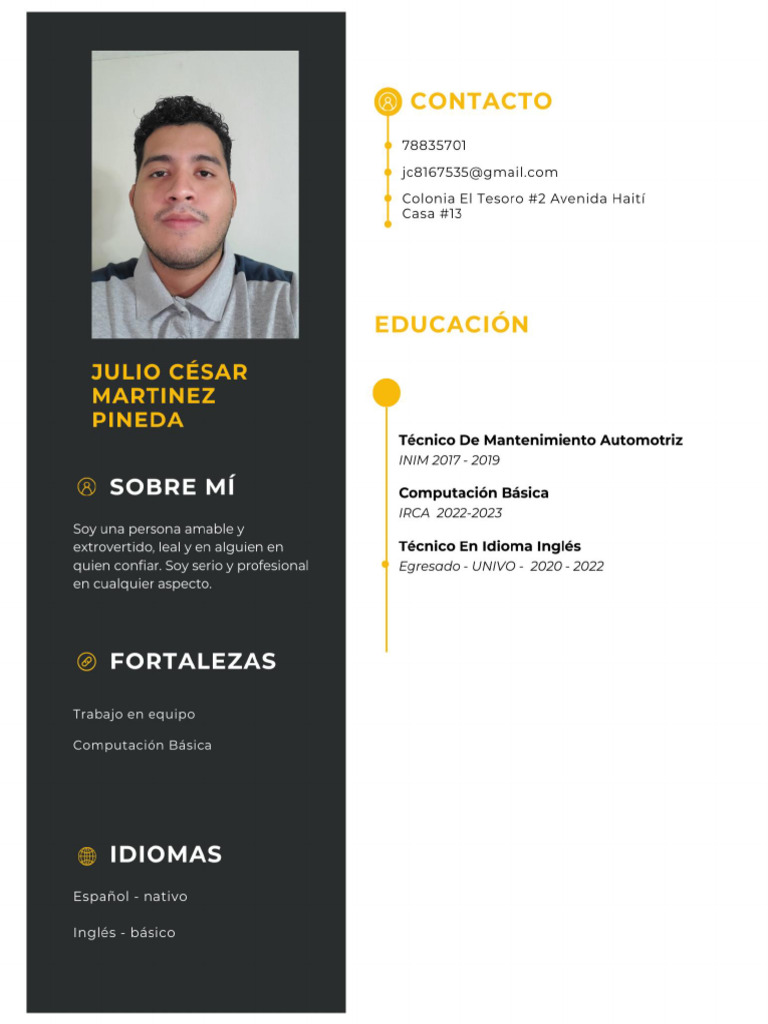 Julio Cesar Cv | PDF