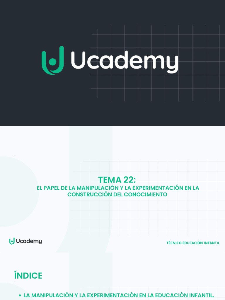 Tema 22 (Esquema) | PDF | Aprendizaje | Educación de la primera infancia
