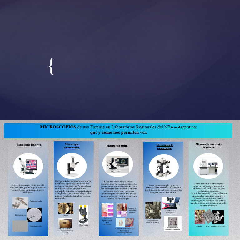 Infografía - Microscopios | PDF | Microscopio | Ciencias fisicas