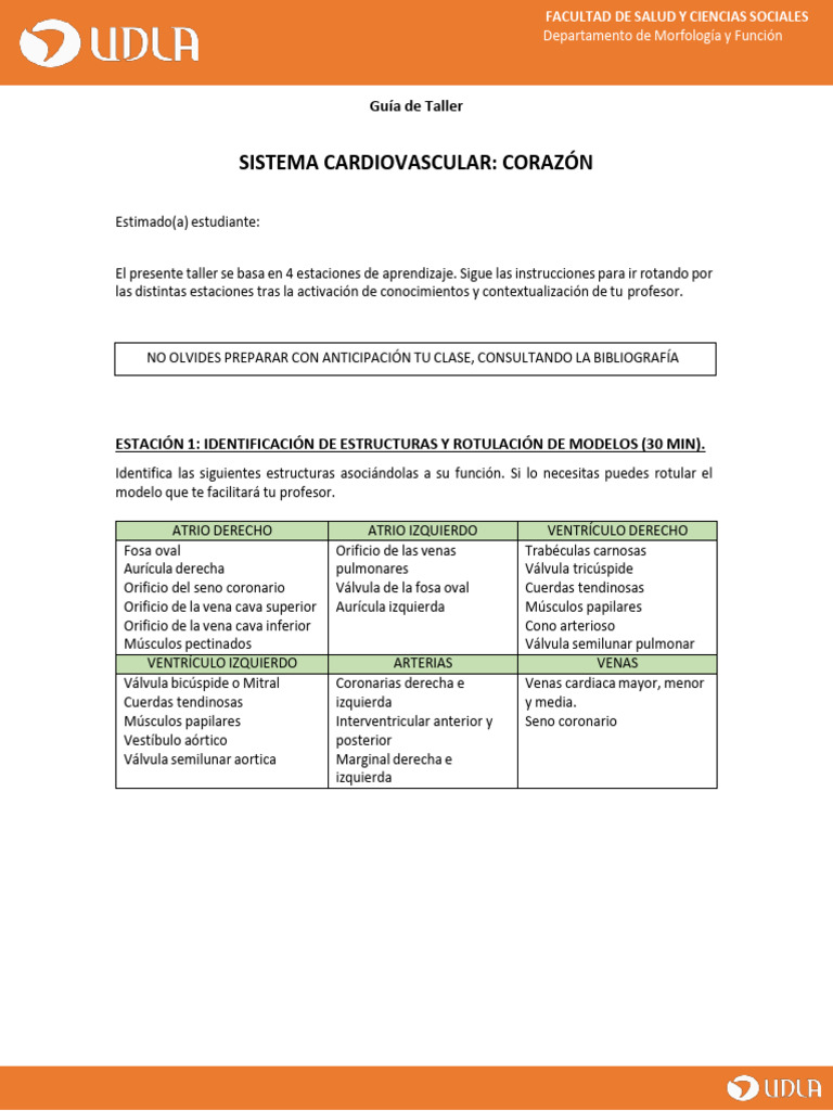 Guía de Sistema Cardiovascular - Corazón MYF101 | PDF | Corazón ...
