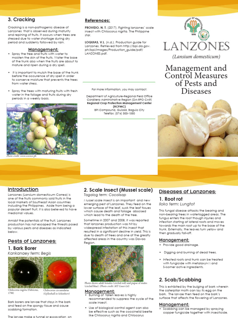 Lanzones Management and Control Measures of Pests and Diseases ...