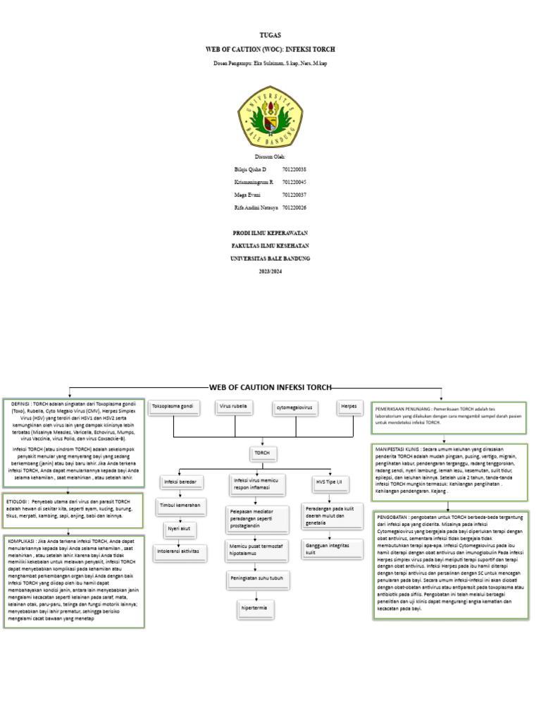 Woc Infeksi Torch | PDF