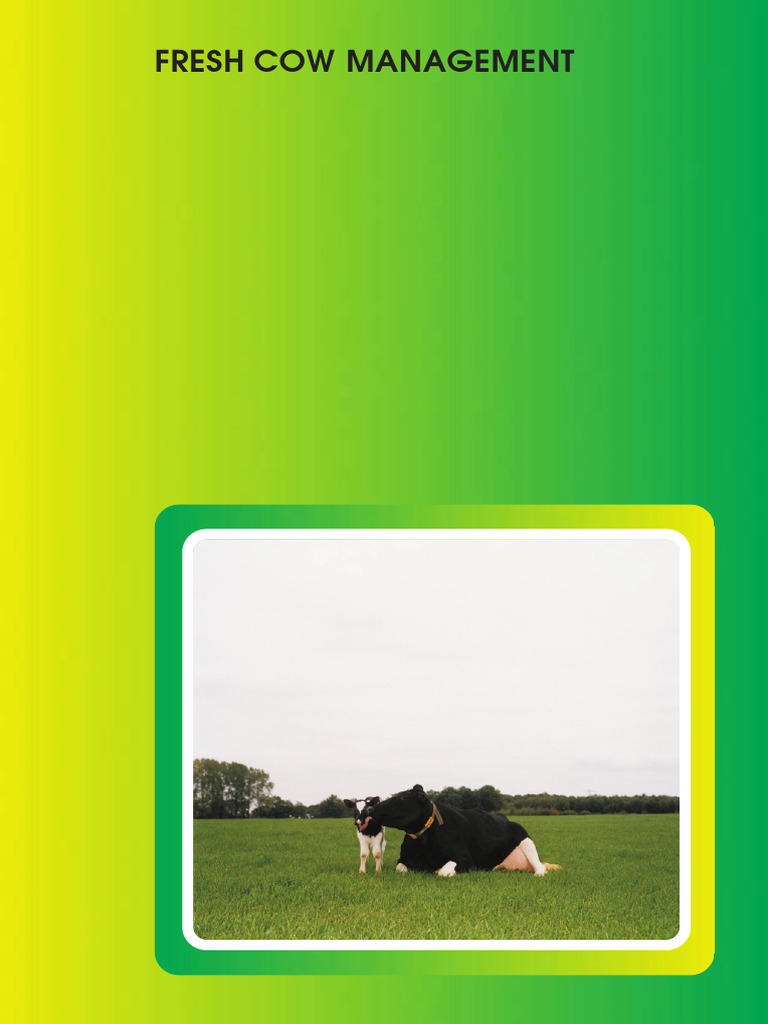 Vee Pro Fresh Cow Management Small | PDF | Cattle | Dairy Farming