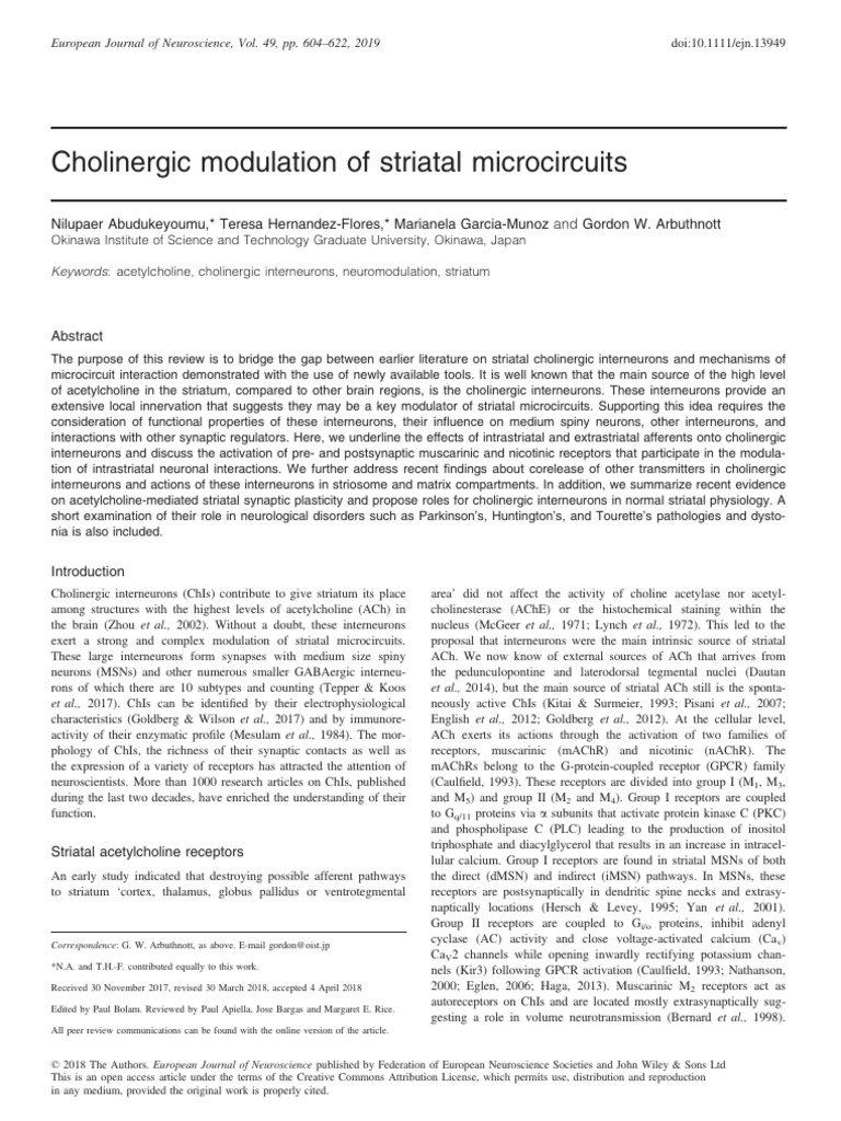 Cholinergic Modulation of Striatal Microcircuits | PDF | Acetylcholine | Striatum