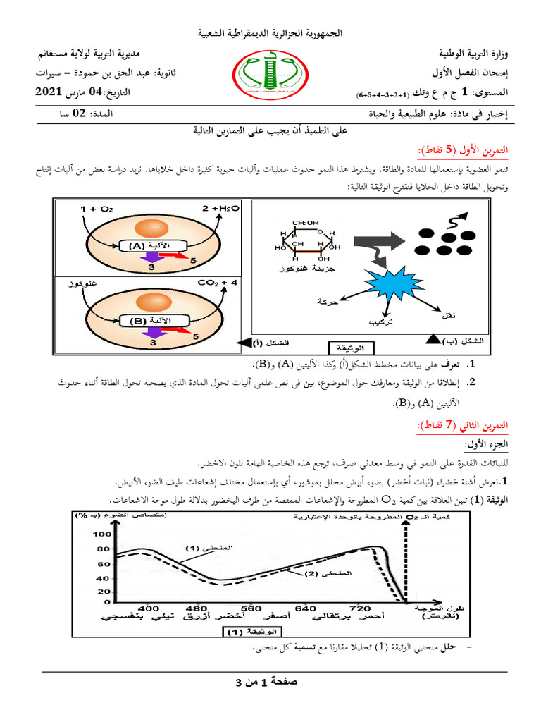 Dzexams 1as Sciences TCST E1 20211 915777 | PDF