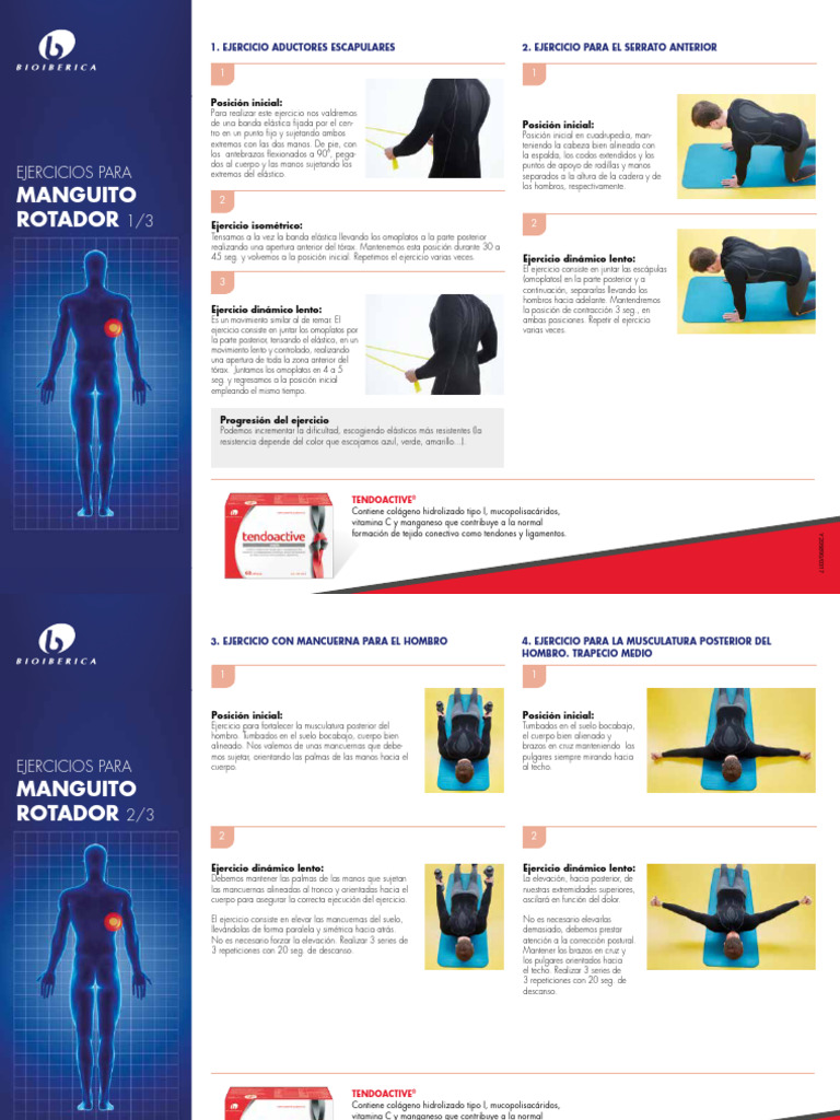Ejercicios Manguito Rotador | Descargar gratis PDF | Hombro | Tejido ...