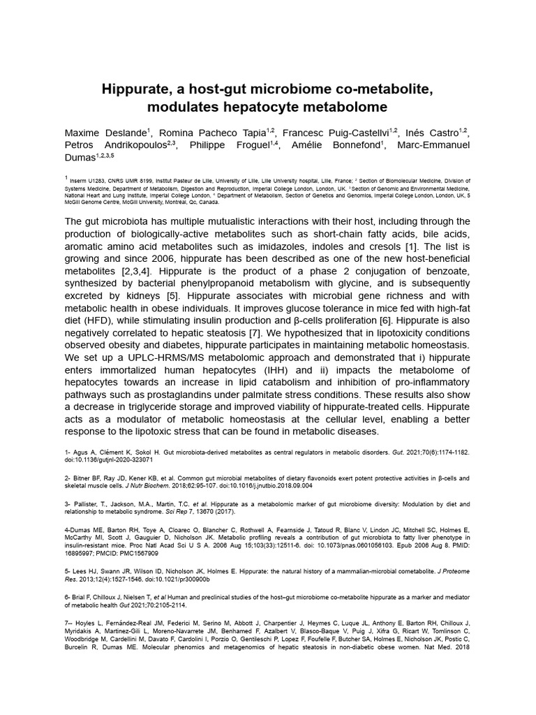 Hippurate's Role in Hepatocyte Metabolism | PDF | Metabolism | Biology