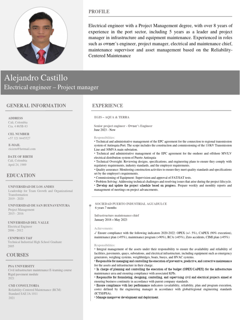 CV Alejandro Castillo 100524 | PDF | Efficient Energy Use | Engineering