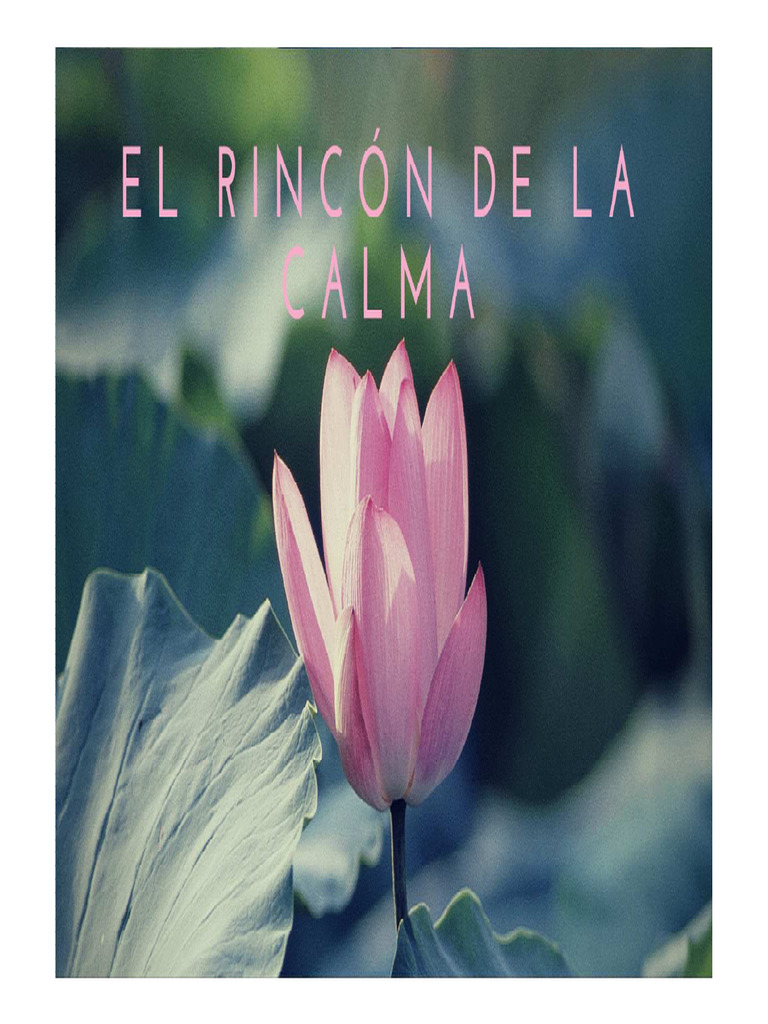 El Rincón de La Calma | PDF