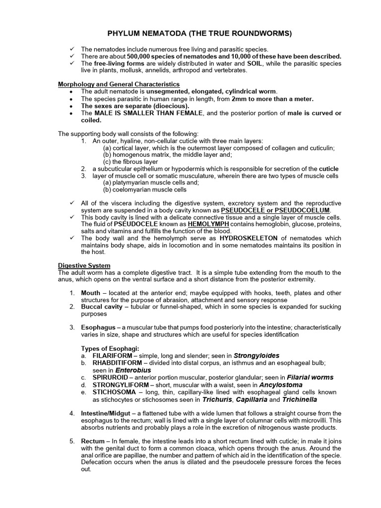 PHYLUM NEMATODA | PDF | Nematode | Reproductive System