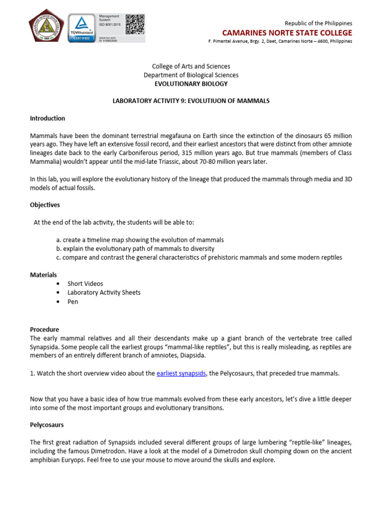 Laboratory-Activity-9-Mammals | PDF | Mammals