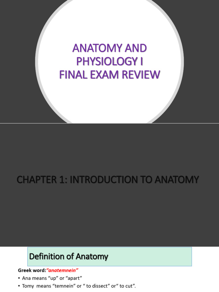 Final Revised Anatomy Theory Final Exam Review | PDF | Spinal Cord | Central Nervous System