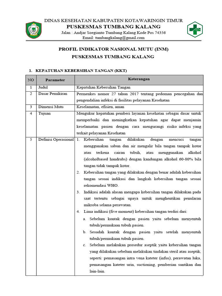 Profil Indikator Mutu Nasional | PDF