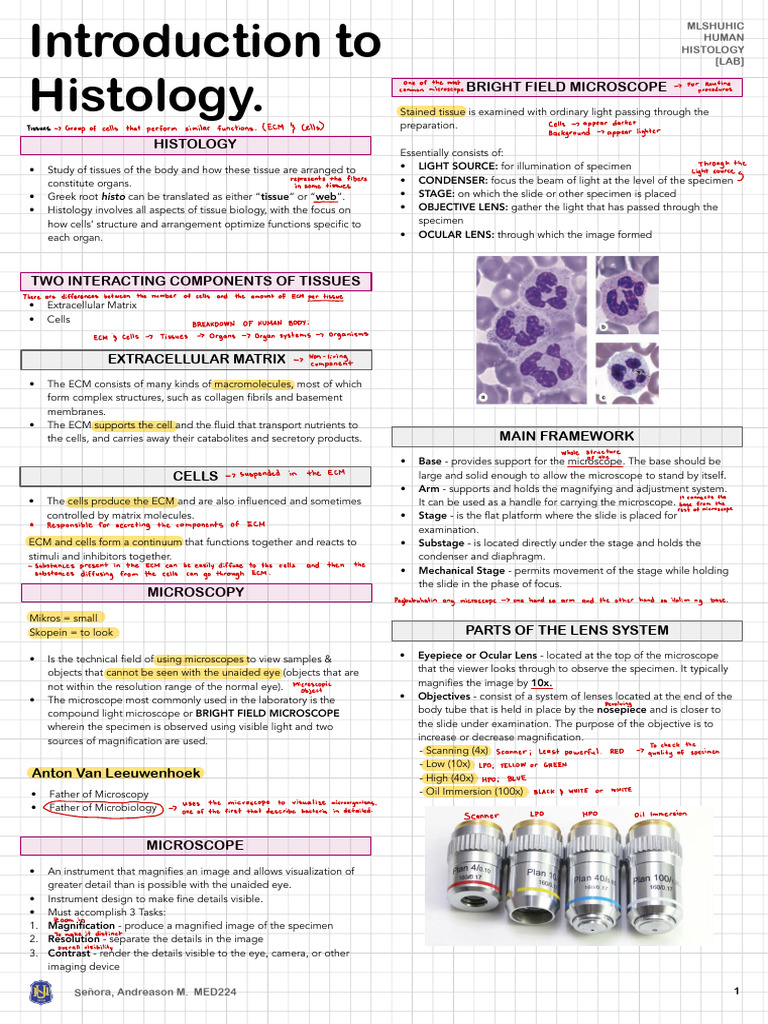 Histology & Microscopy Basics | PDF | Electron Microscope ...