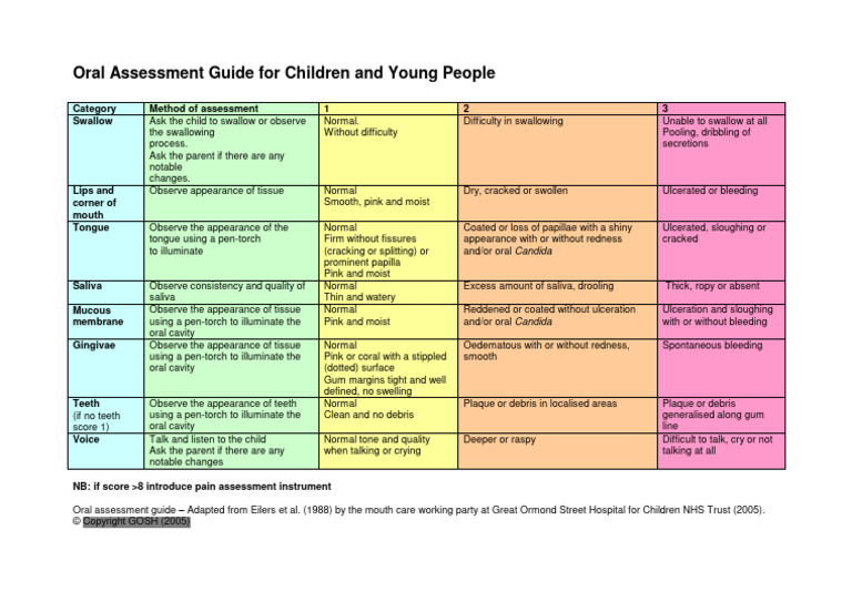 4.oral Assessment Guide For Children and Young People 2 | PDF | Mouth ...