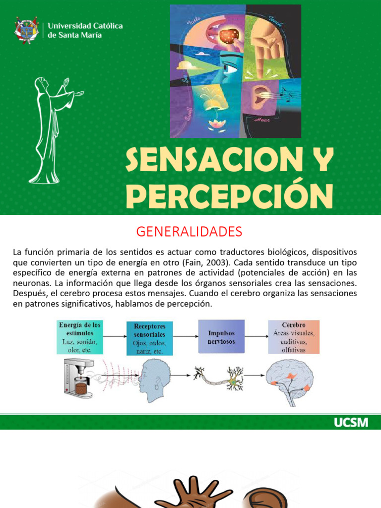 4 Sensacion y Percepcion 5. Conciencia | PDF | Sentidos | Percepción