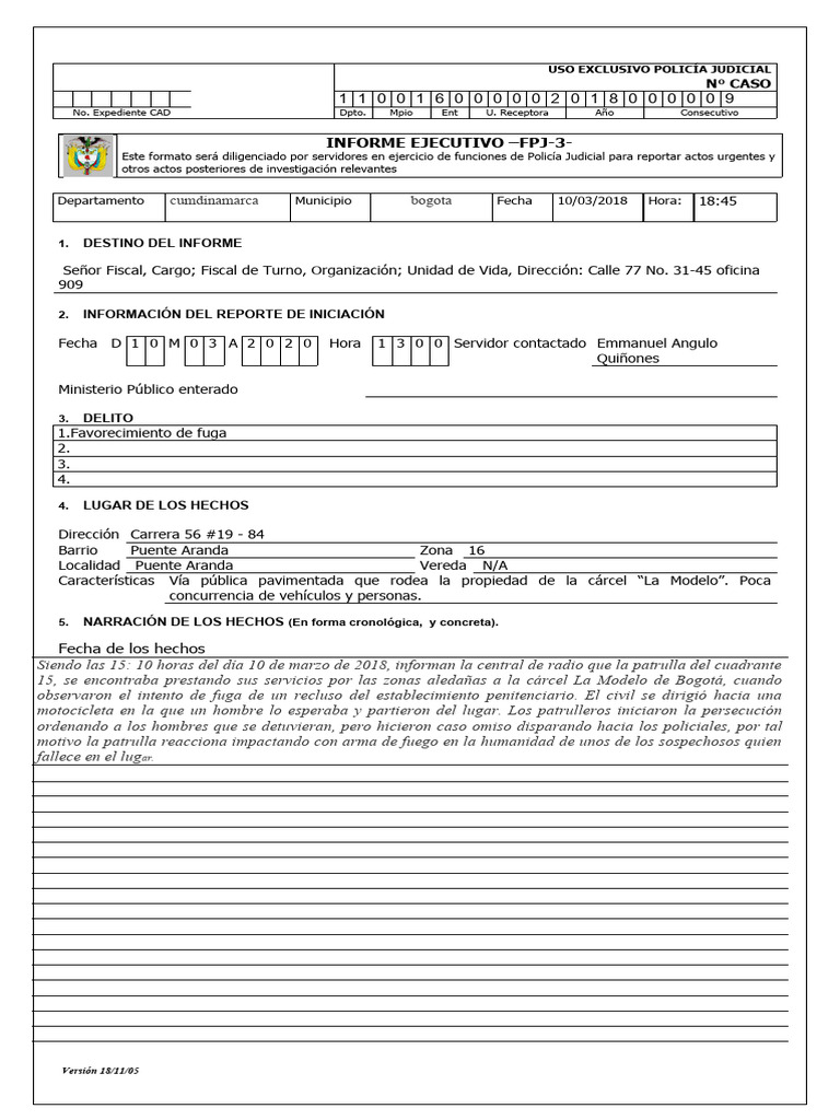 Imforme Ejecutivo Emmanuel | PDF | Calibre | Documento de identidad