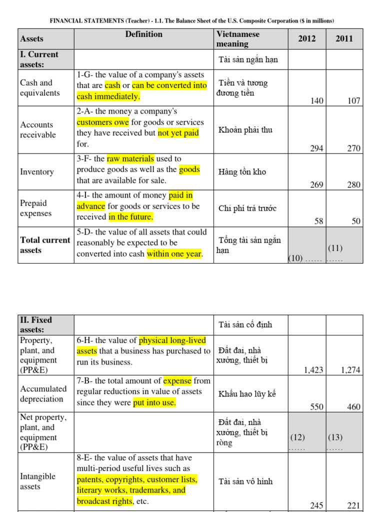 FINANCIAL STATEMENTS (W Vietnamese) | PDF | Stocks | Balance Sheet